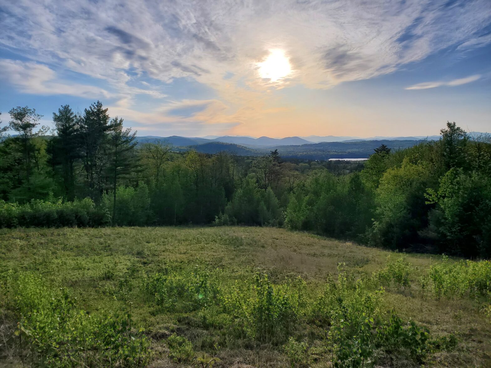 Meet the Area - The Cornish Inn